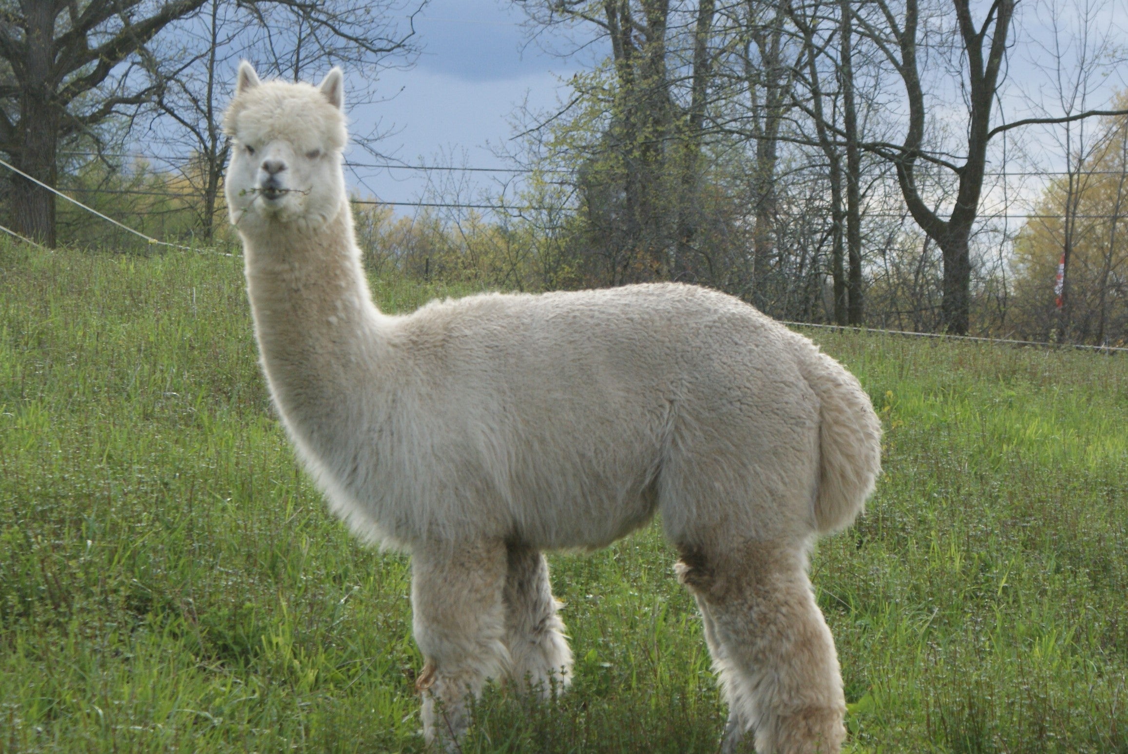 Menswear – Stone Spindle Farm